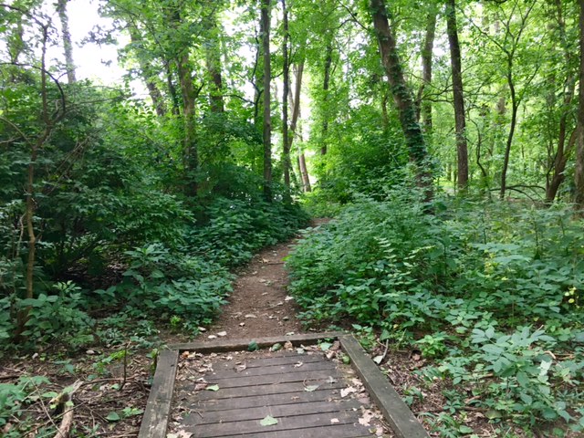 Mill Race Park – Columbus Parks and Rec